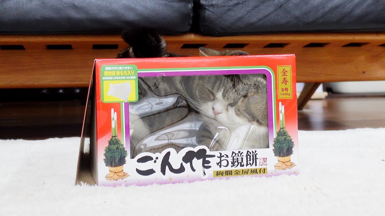 Meltable Maru – CUTETROPOLIS